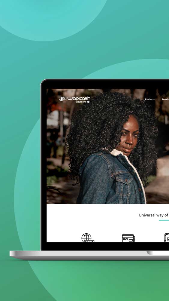 Wapicash - Portfolio | Hackerkernel